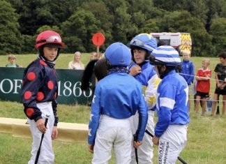 Home - SouthernPonyracing