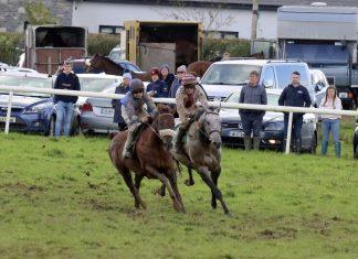 Home - SouthernPonyracing